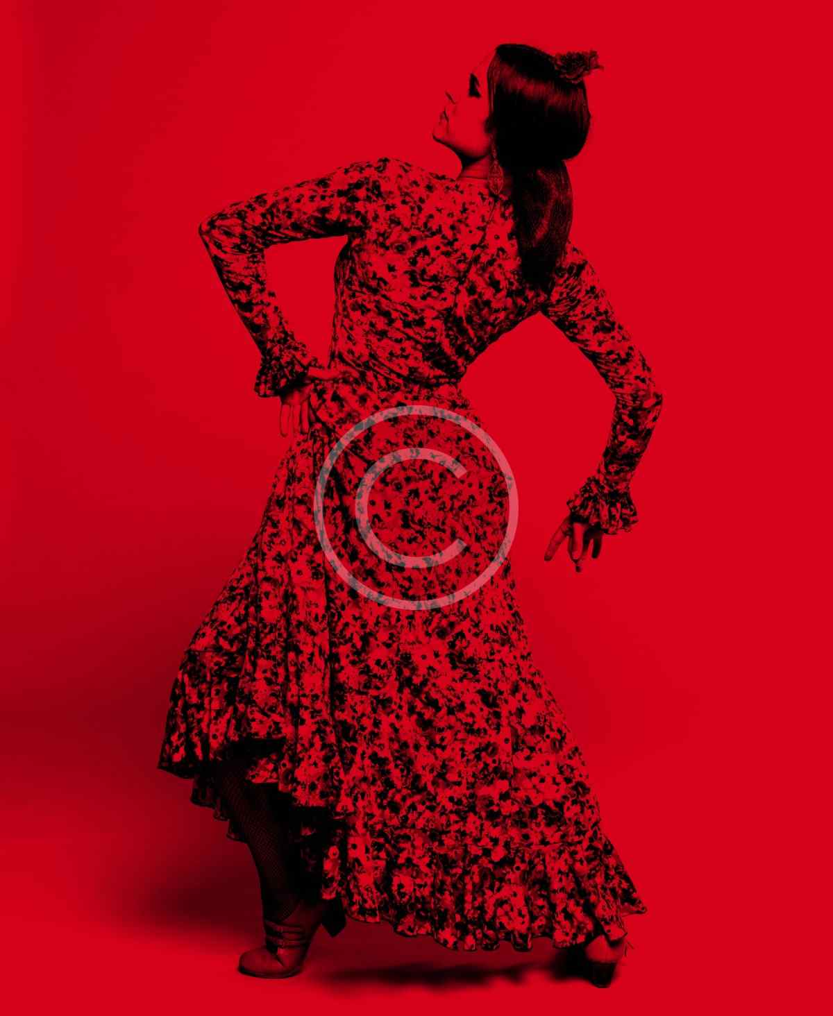 Team – AXIS Dance Company